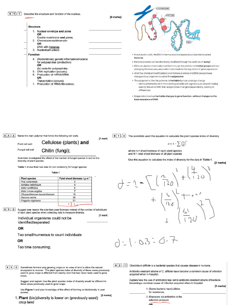 qis-awgg-qyd – 25 Oct 2023 | PDF