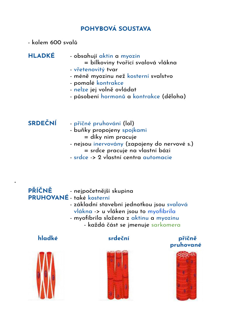 Biologie Pohybová Soustava | PDF