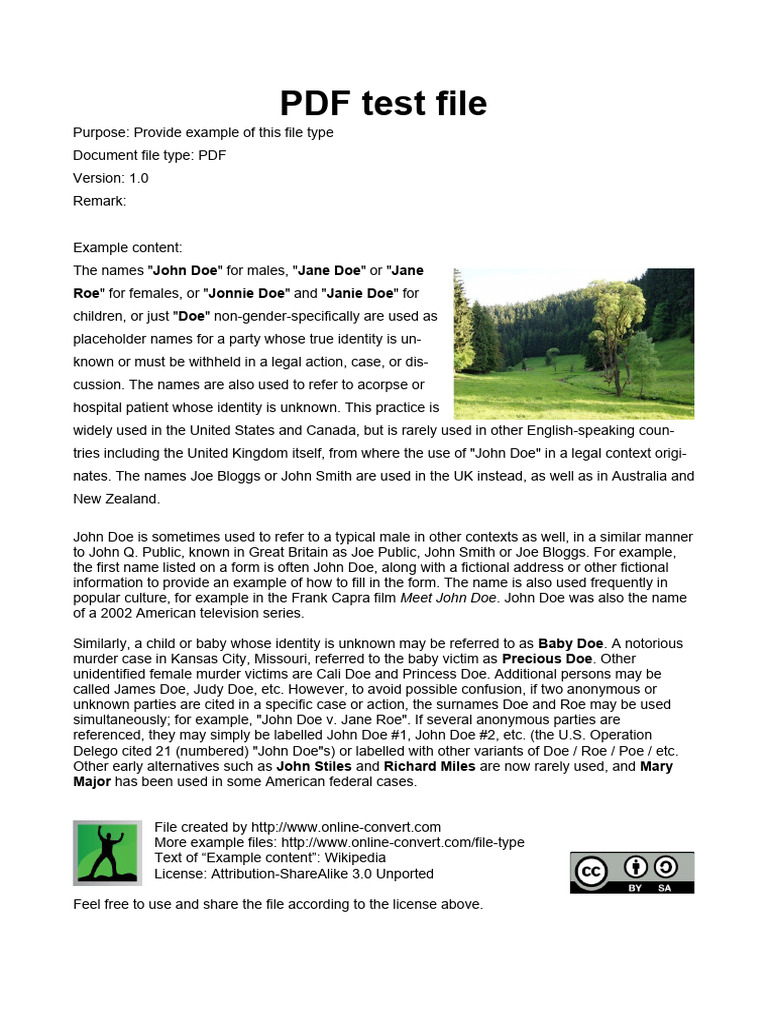 Example | PDF | John Doe