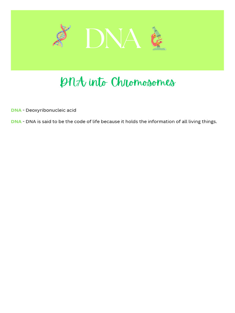 DNA Into Chromosomes | PDF | Dna | Translation (Biology)