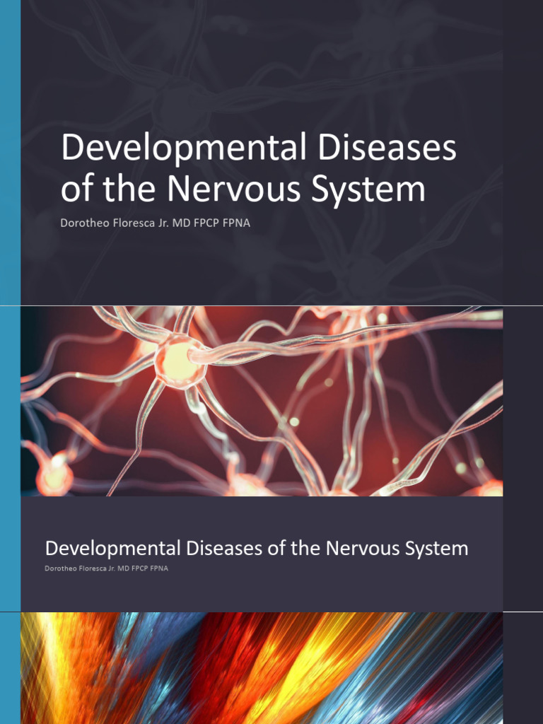 NS 2 - Developmental Diseases of The Nervous System v2023.02 | PDF | Cerebral Cortex | Diseases ...