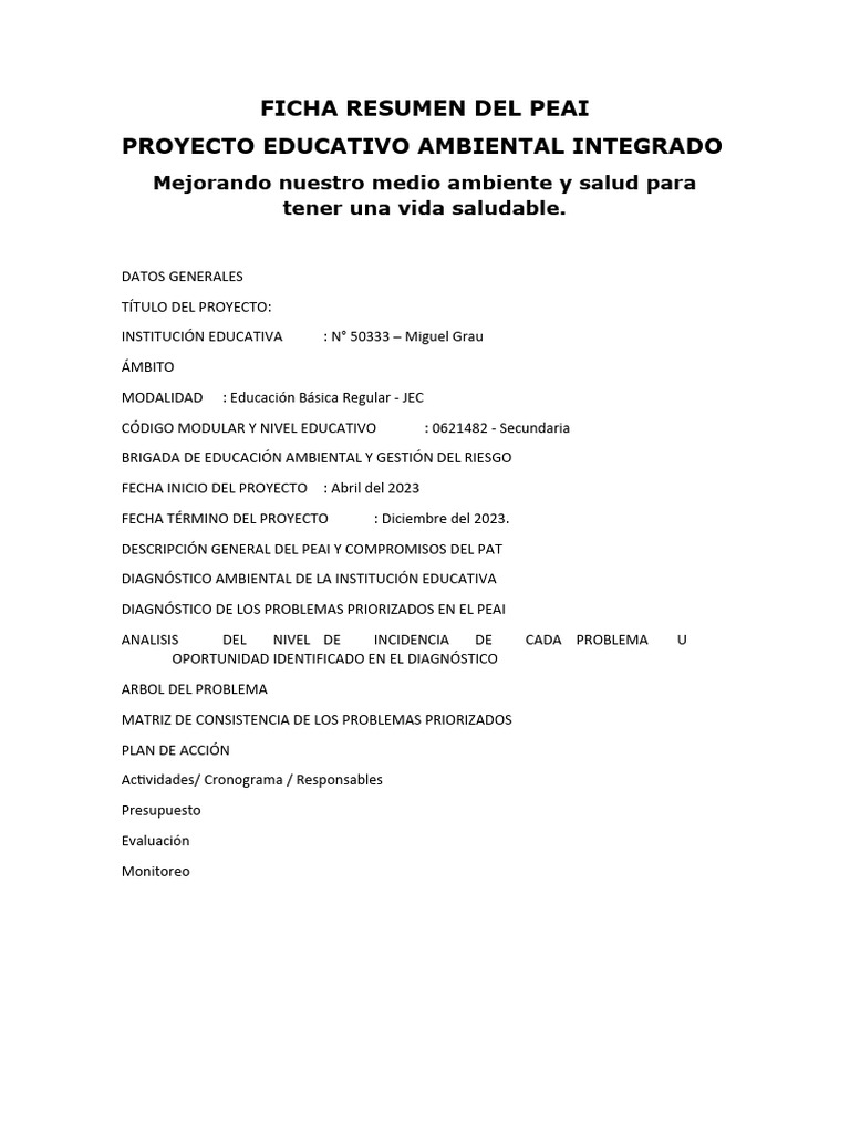 Ficha Resumen Del Peai | PDF