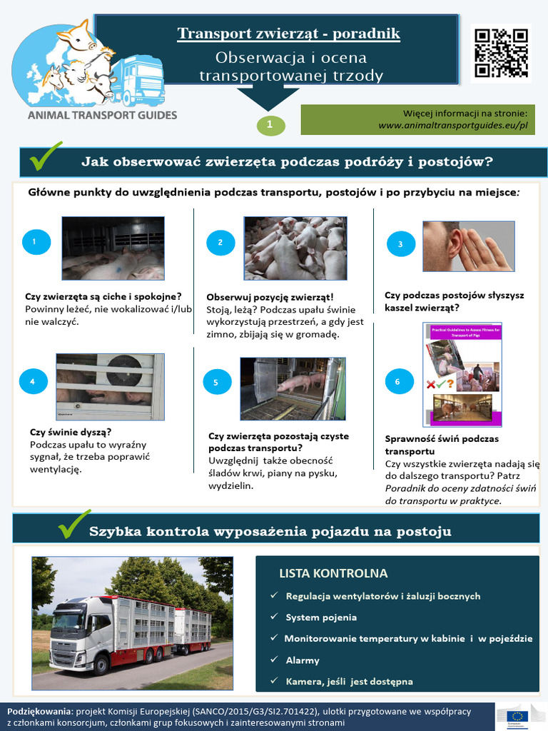 Obserwacja I Ocena | PDF