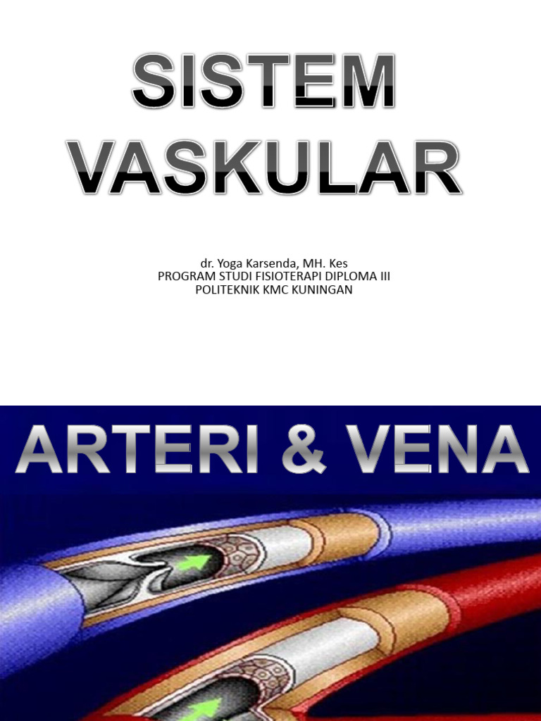 SISTEM VASKULAR Dan LIMFATIK | PDF