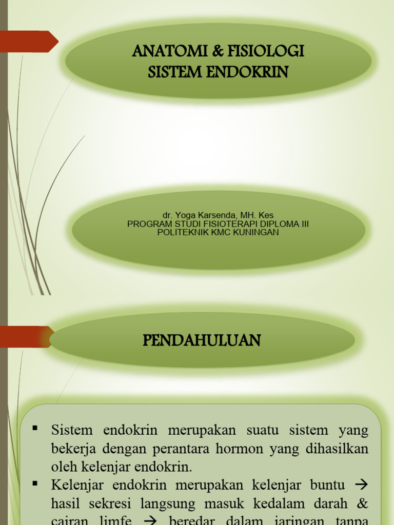 Sistem Endokrin | PDF