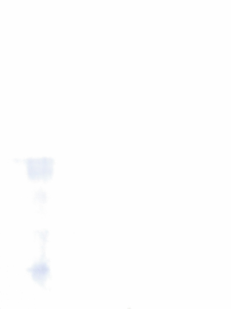 White | PDF