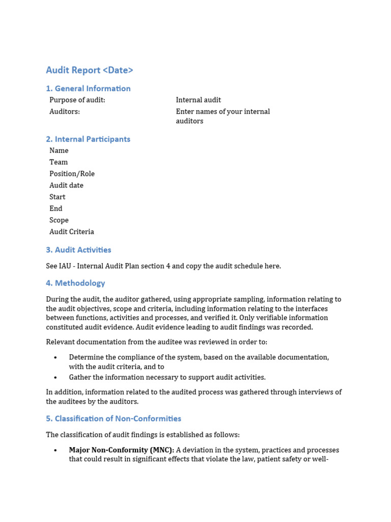 Audit Report | PDF | Audit | Auditor's Report
