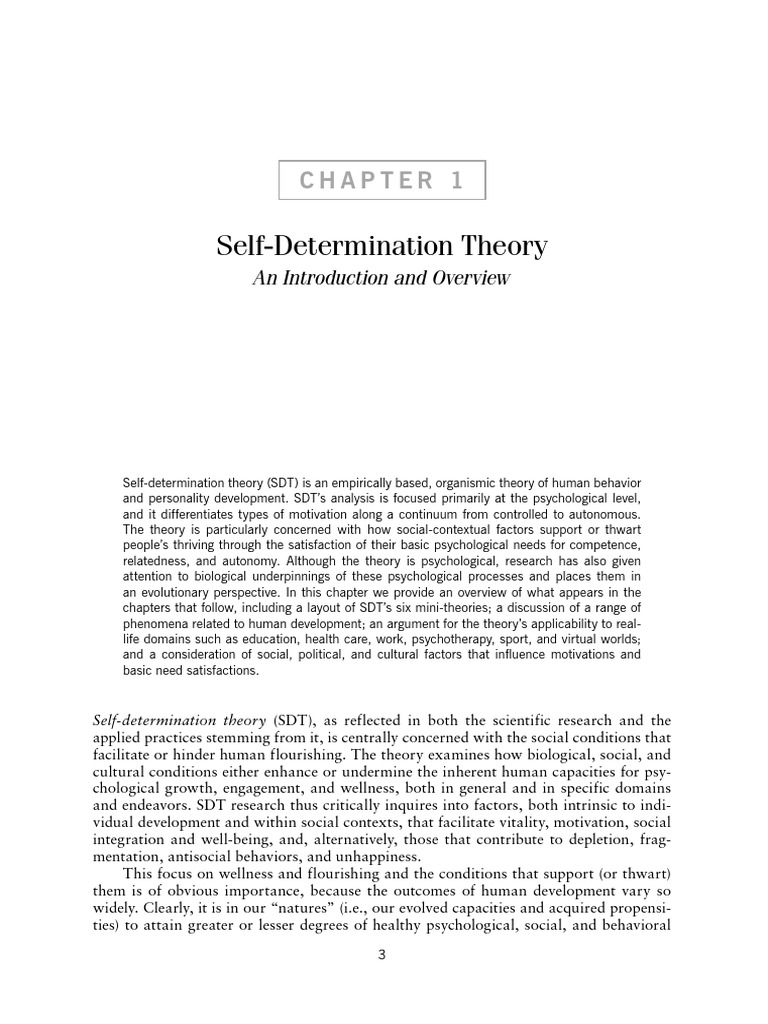 Self Determination Theory | PDF | Motivation | Motivational