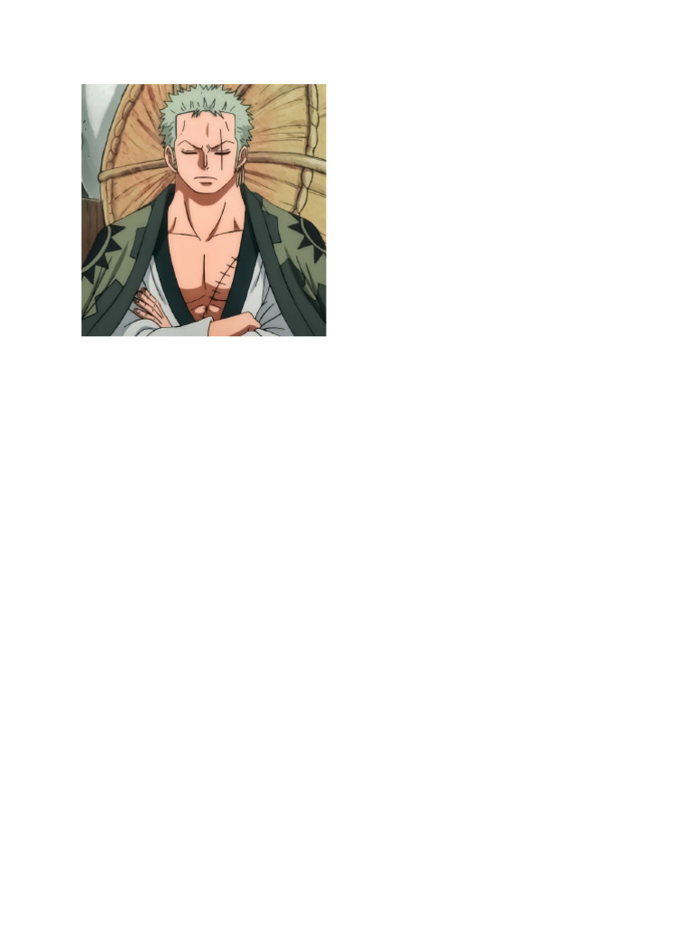 Zoro | PDF