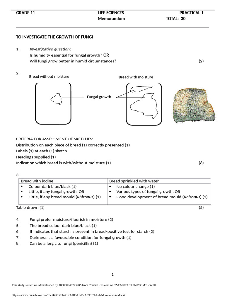 Grade 11 Fungi Growth Investigation Memo | PDF | Fungus | Mold