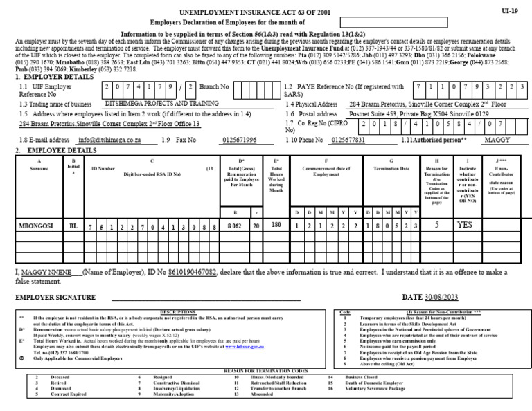 Kgokong Po - Ui-19 | PDF | Salary | Payroll Tax