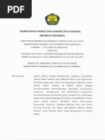 Kepdirjen 384.K Solar B40 | PDF