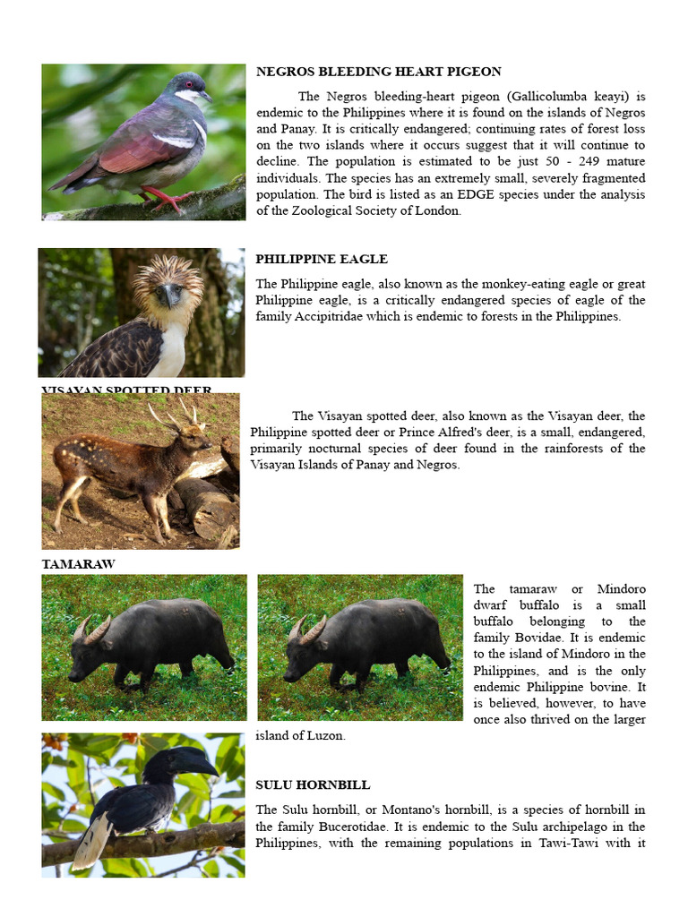 Endangered Species | PDF
