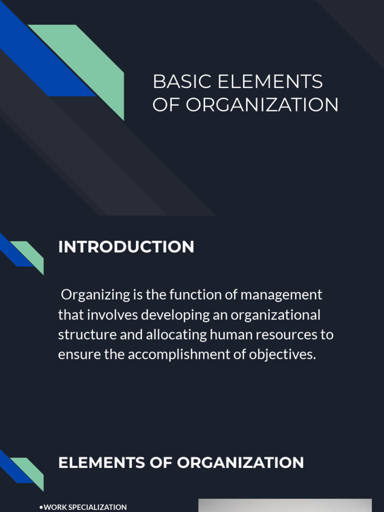 Basic Elements of Organization | PDF