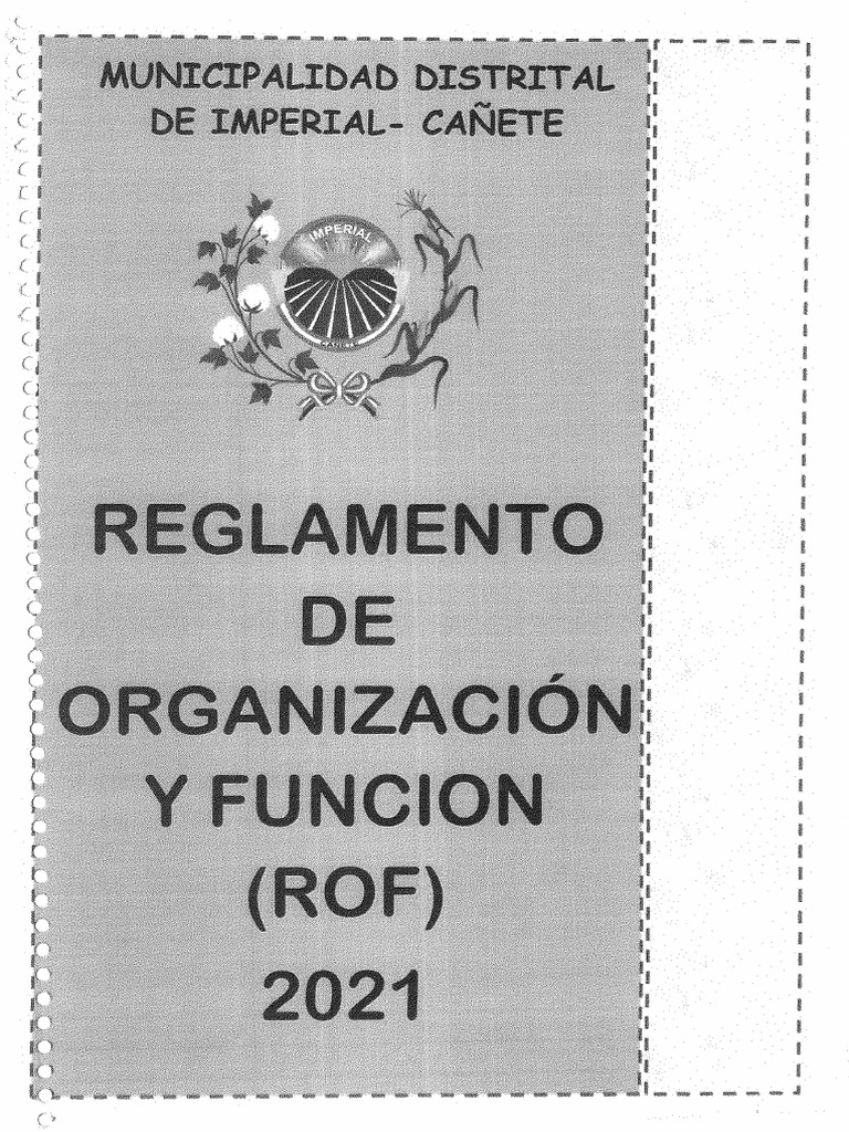 Reglamento de Organizacion y Funciones-Rof | PDF