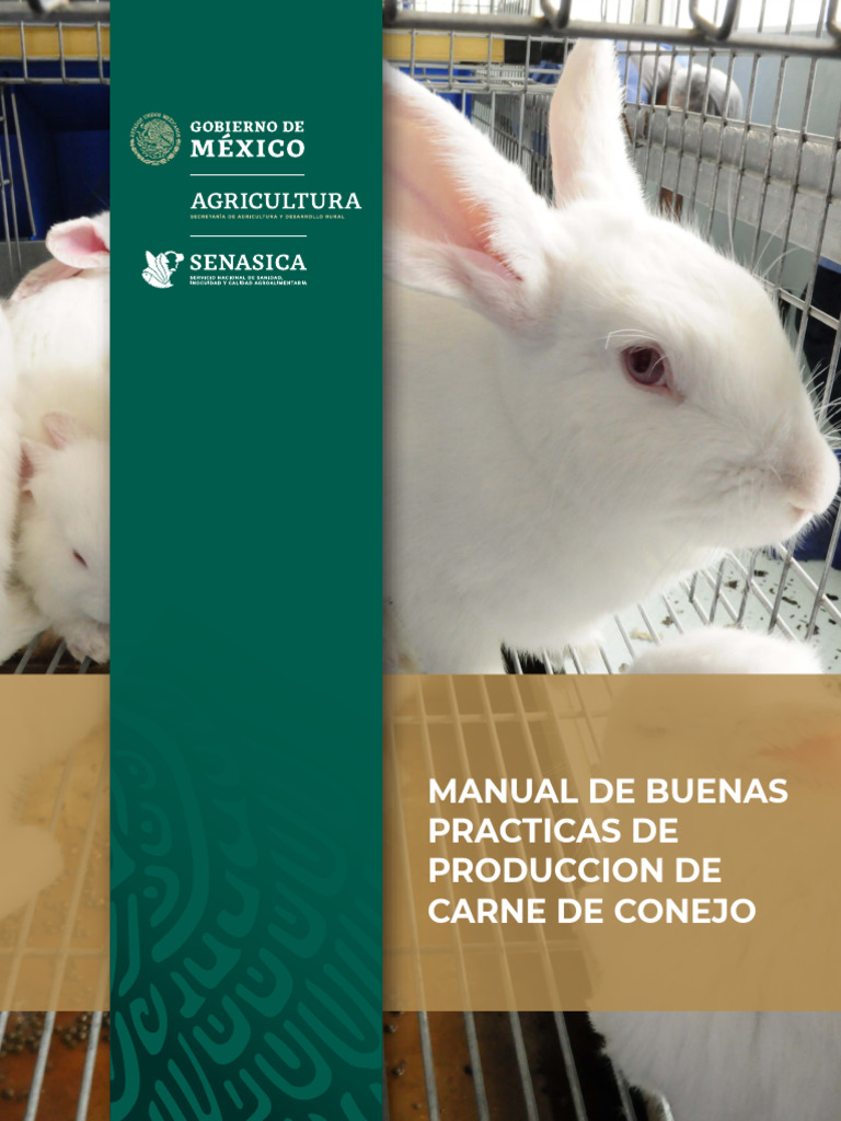 Manual de Buenas PR Cticas de Producci N de Carne de Conejo 2019 | PDF | Alimentos | Agua
