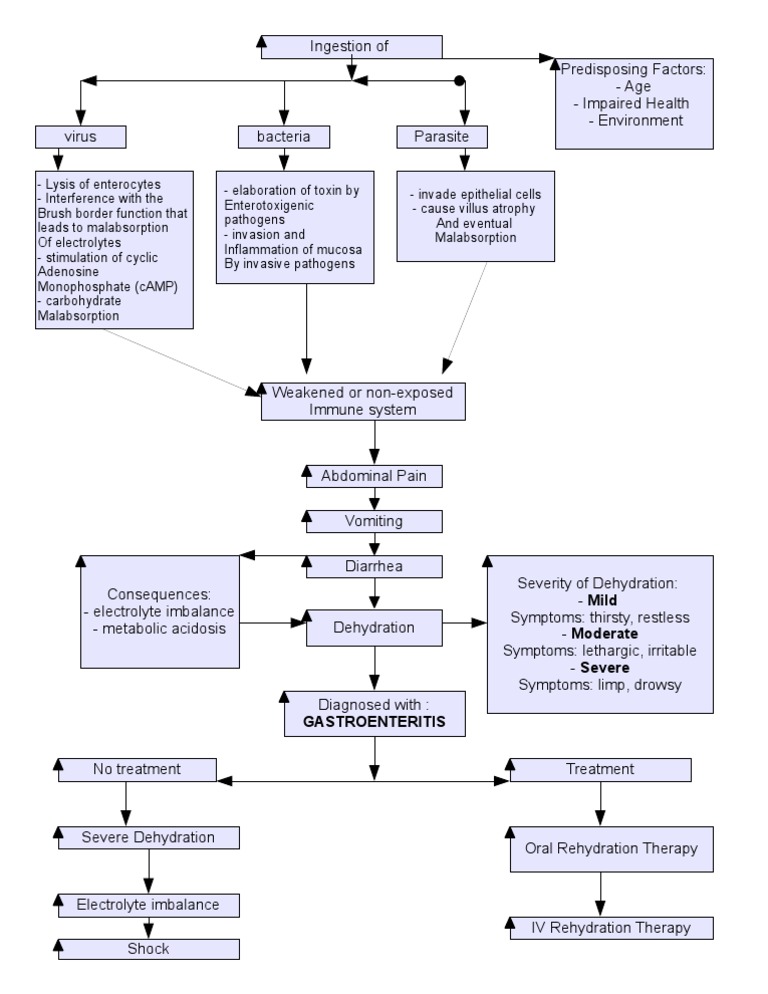 Pathophysiology of Acute Gastroenteritis | PDF | Wellness | Science ...