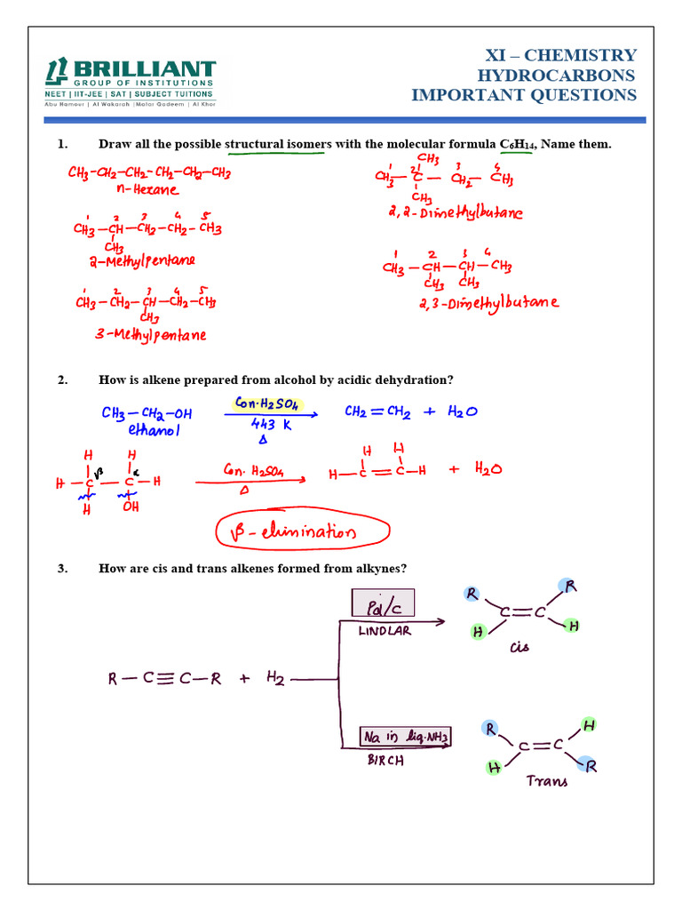 Hydrocarbons Final Revision Worksheet | PDF | Alkene | Benzene
