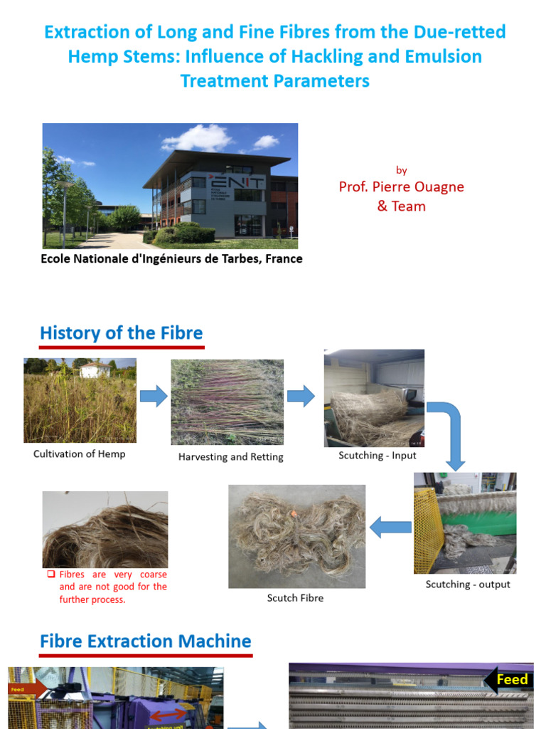 Extraction of Long and Fine Fibres From The Due-Retted Hemp Stems Pier ...
