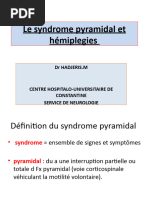Syndrome Pyramidal | PDF | Système nerveux | Causes de décès