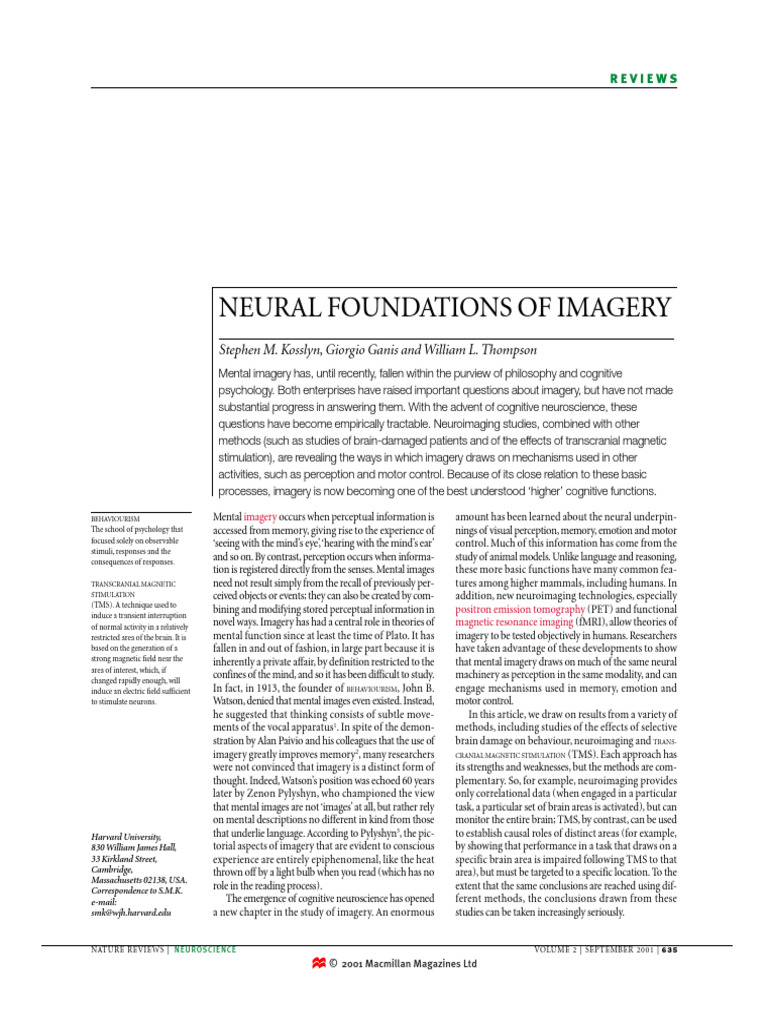 Neural Basis of Imagery | PDF | Mental Image | Perception