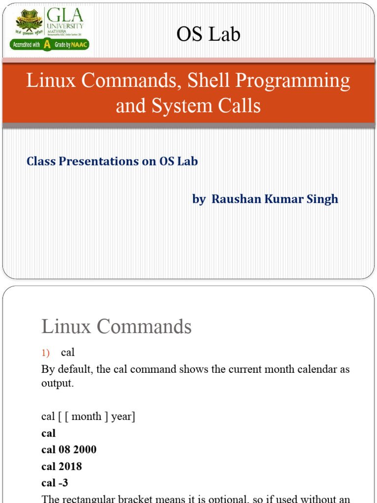 OS Lab by Raushan Sir | PDF | Computer File | Filename
