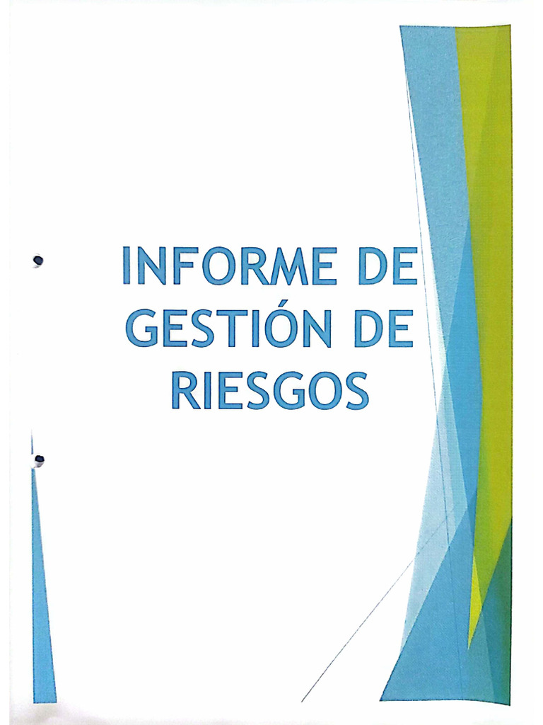 Informe de Gestion de Riesgo PDF | PDF