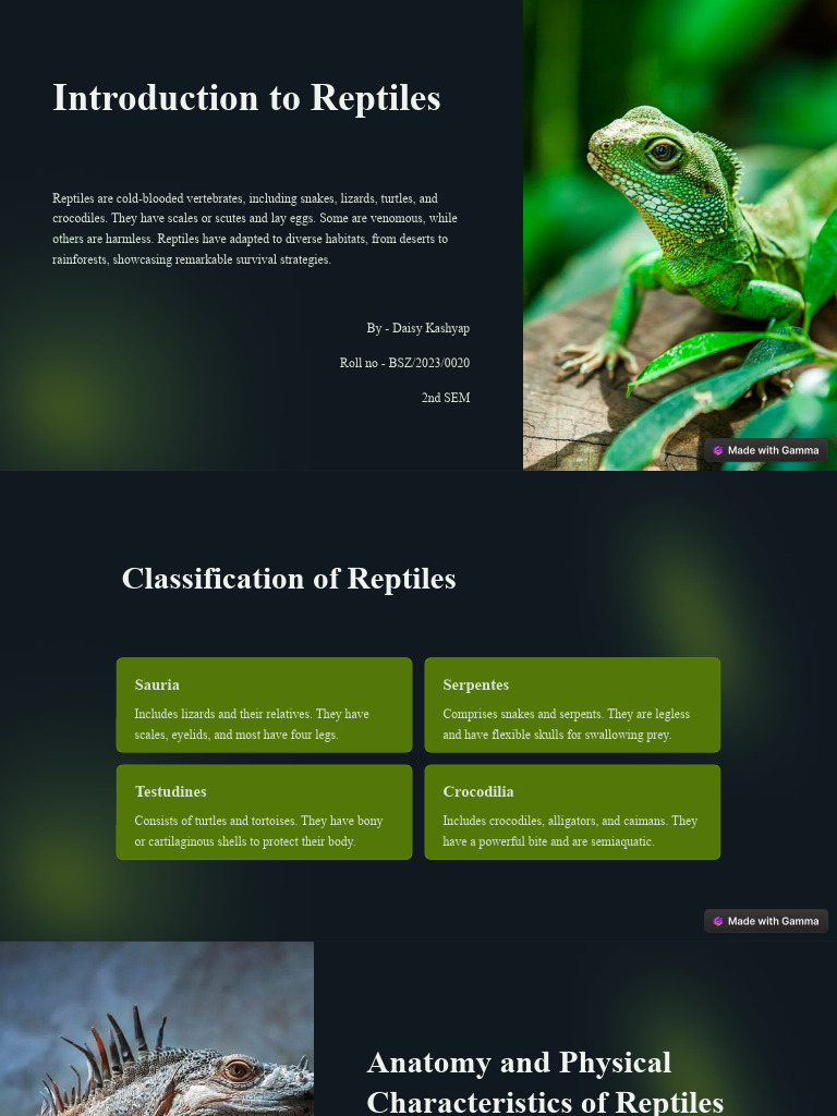 Introduction To Reptiles | Download Free PDF | Reptile | Turtle
