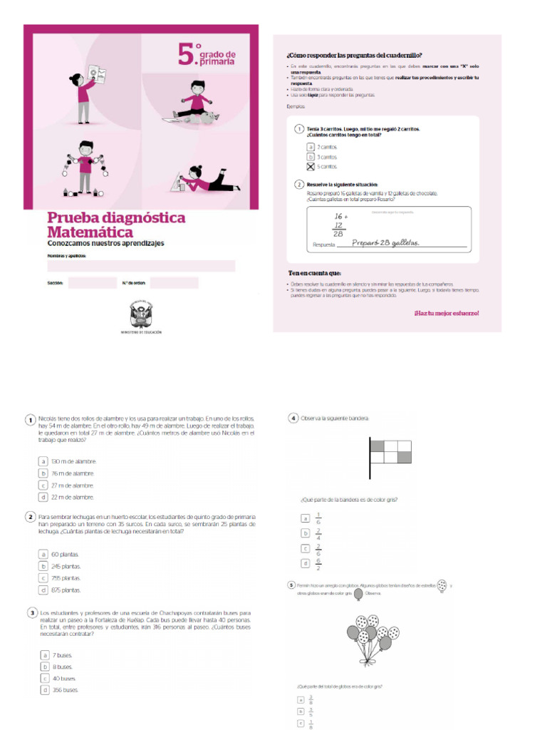 Prueba Diagnóstica Matemática 5° Primaria Pdf 3600