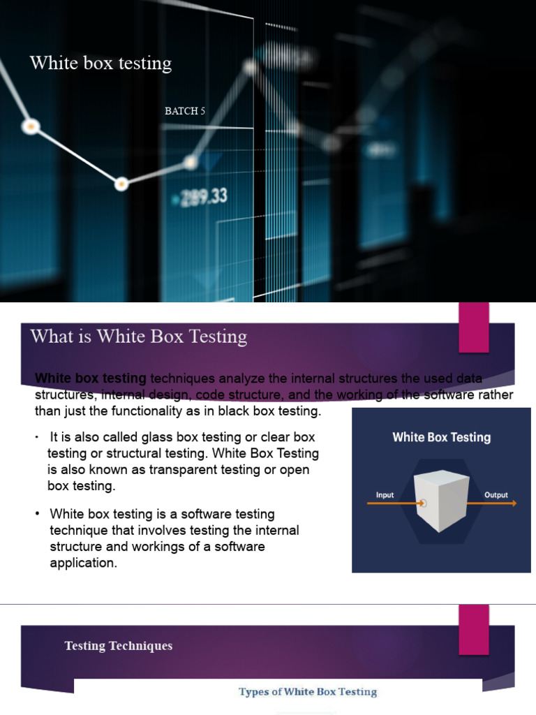 White Box Testing | PDF | Software Testing | Computer Program