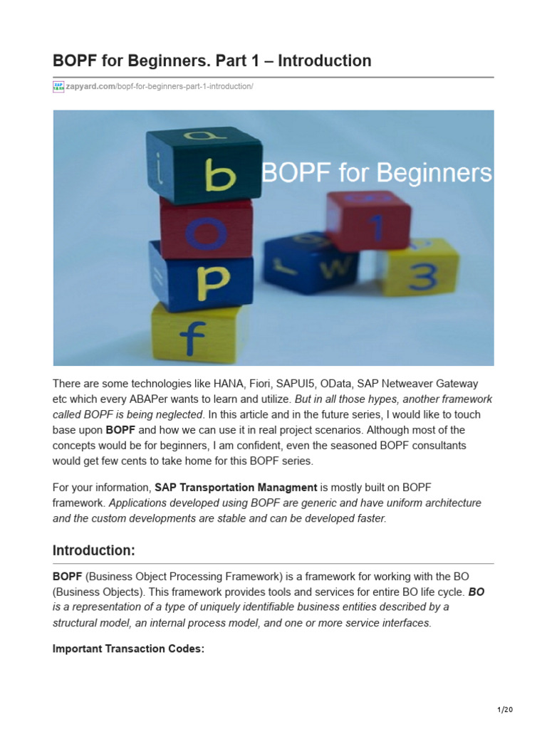 BOPF Basics: A Beginner's Guide | PDF | Software | Computing