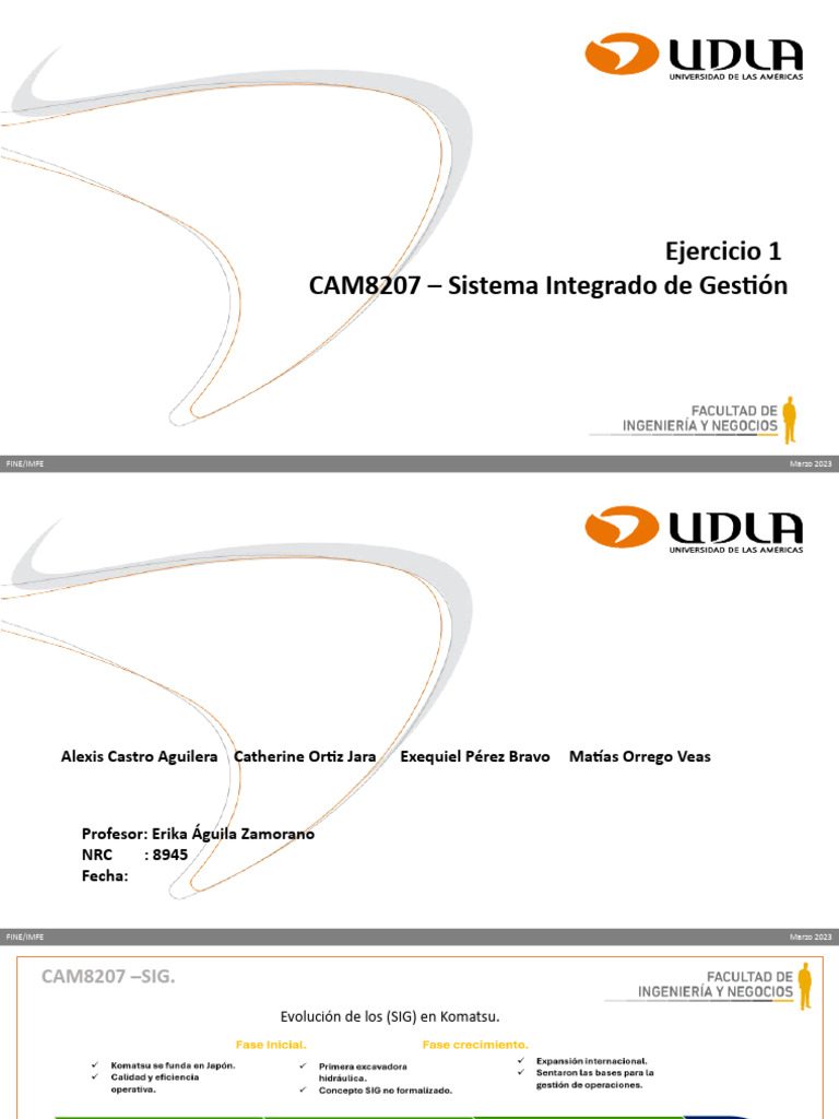 Sistema Integrados De Gestion Descargar Gratis Pdf Calidad