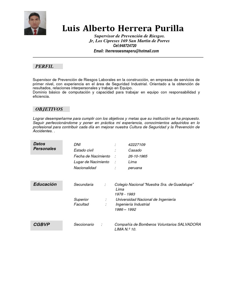 Cv-Luis Herrera Purilla Actualizado | PDF | Perú | Lima