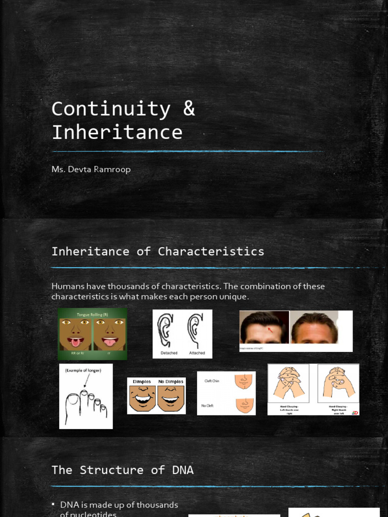 Continuity & Inheritance - Genetics | PDF | Dominance (Genetics) | Allele
