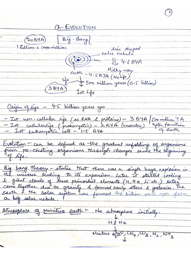 Notes - Evolution | PDF