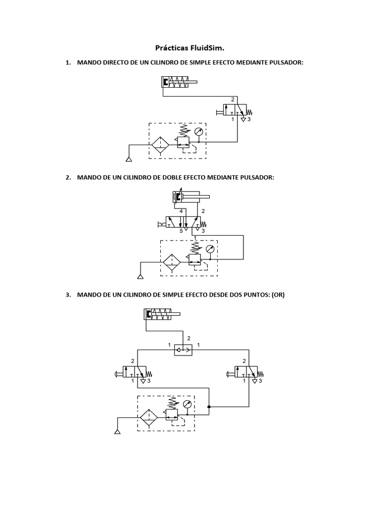 Prácticas FluidSim | PDF