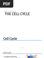 POGIL Activities For AP Biology - Cell Cycle and Regulation | PDF ...
