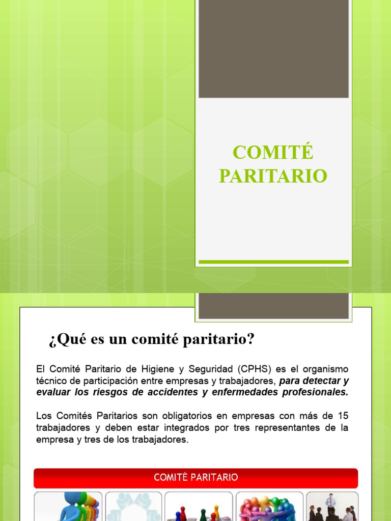 Funciones y Estructura del Comité Paritario | PDF