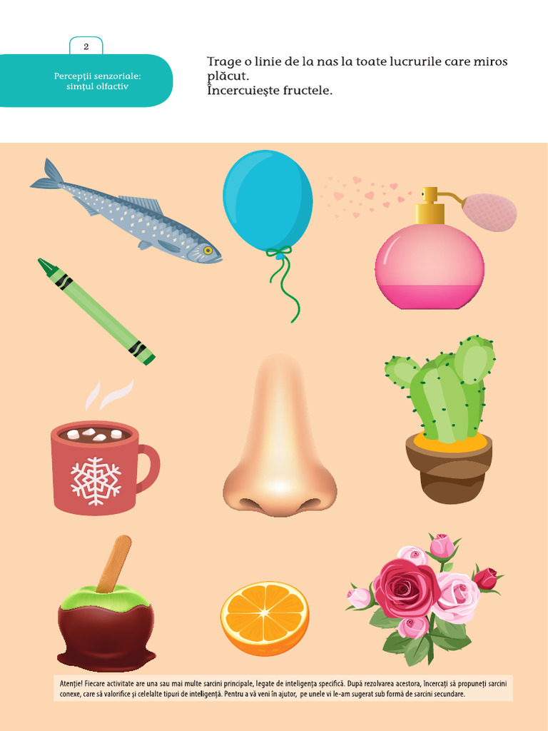 Carte Copil 2 Ani | PDF