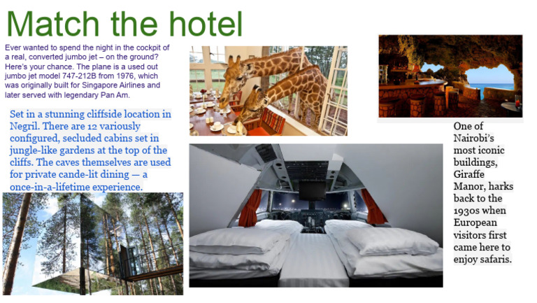 Unique Hotel Experiences in Negril and Nairobi | PDF