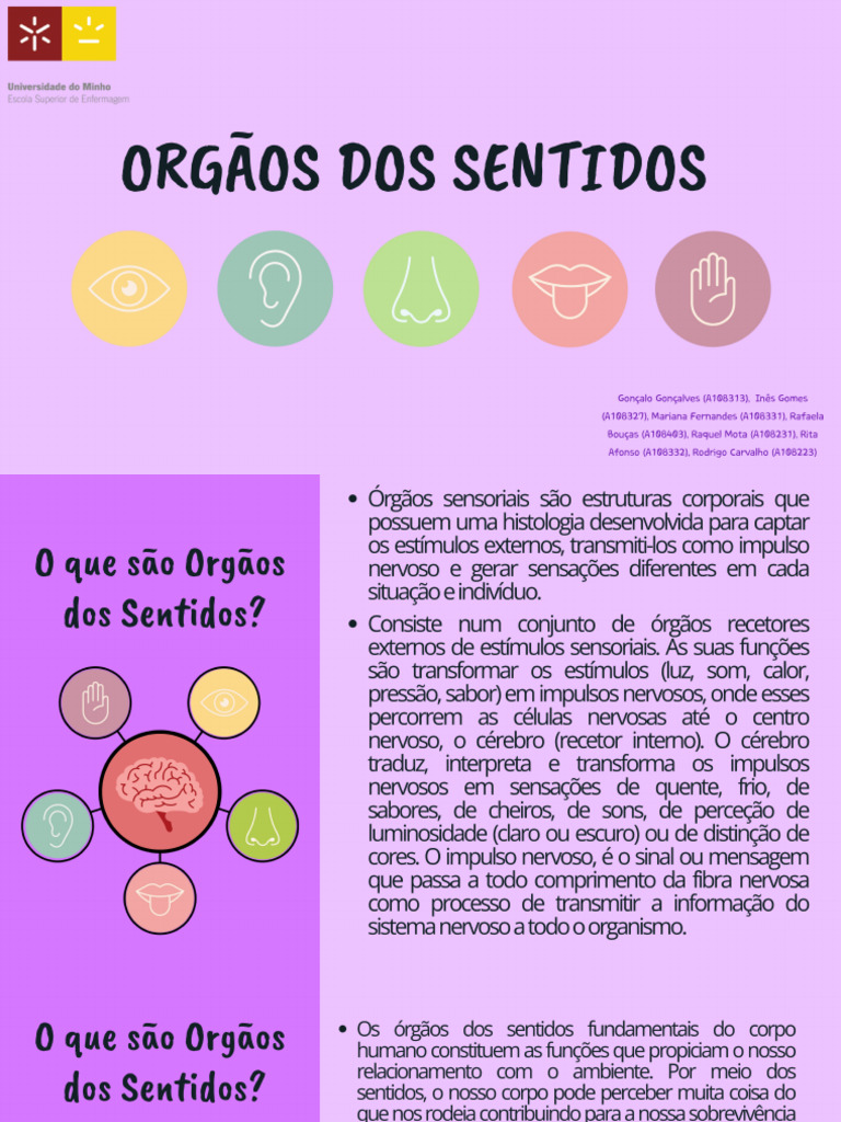Orgãos Dos Sentidos - PWP | PDF