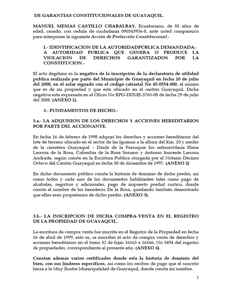 Accion de Proteccion - Blanca A. Vasquez | PDF | Derecho Constitucional | Constitución