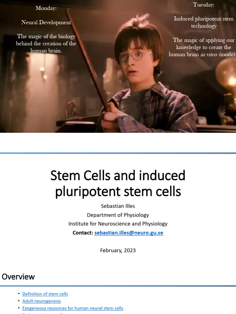 16 Stem Cells and iPSC - 2023 - Handout | Download Free PDF | Cell ...