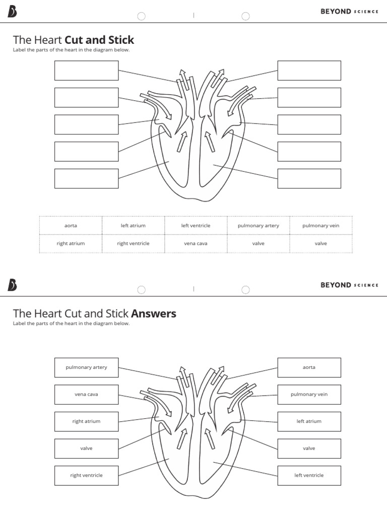 T SC 2550032 The Heart Cut and Stick Worksheet Ver 2 | PDF