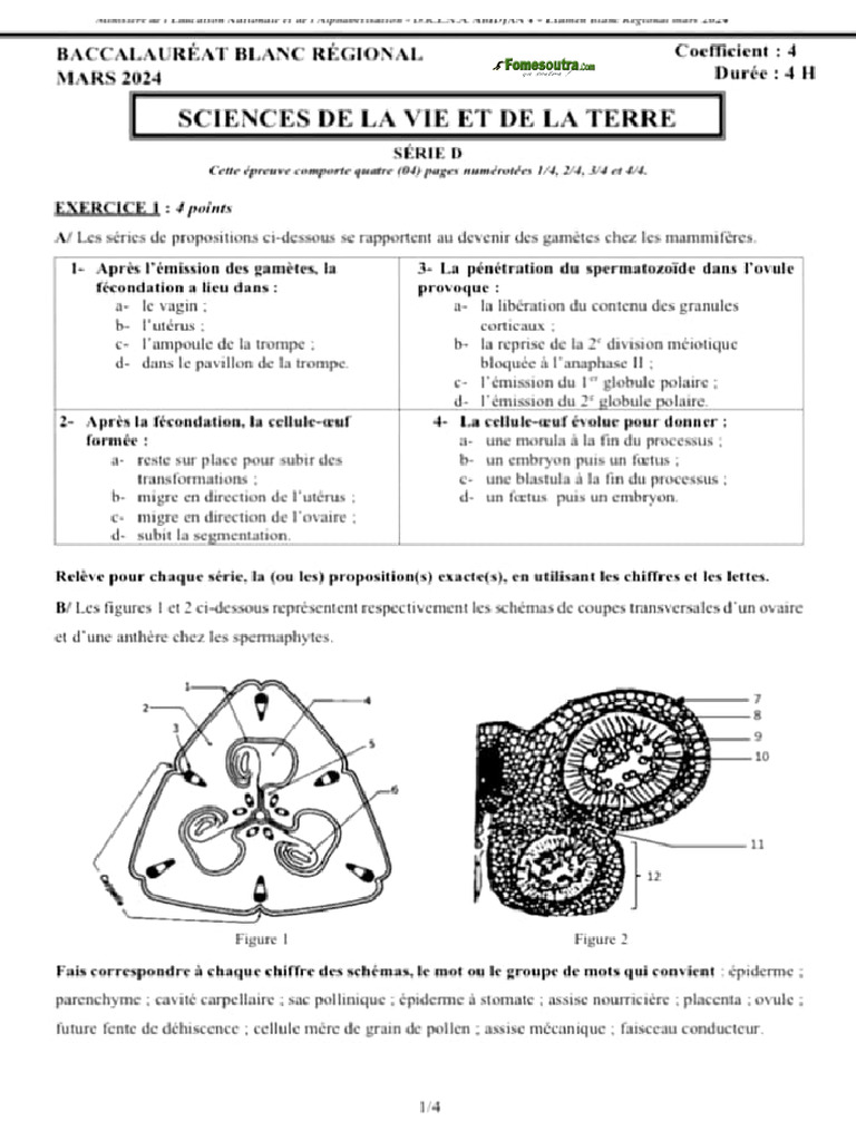 Bac Blanc 2024 SVT Serie D Sujet+barème Dren Abidjan 4 | PDF