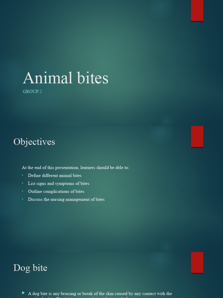 Animal Bites | PDF | Infection | Diseases And Disorders