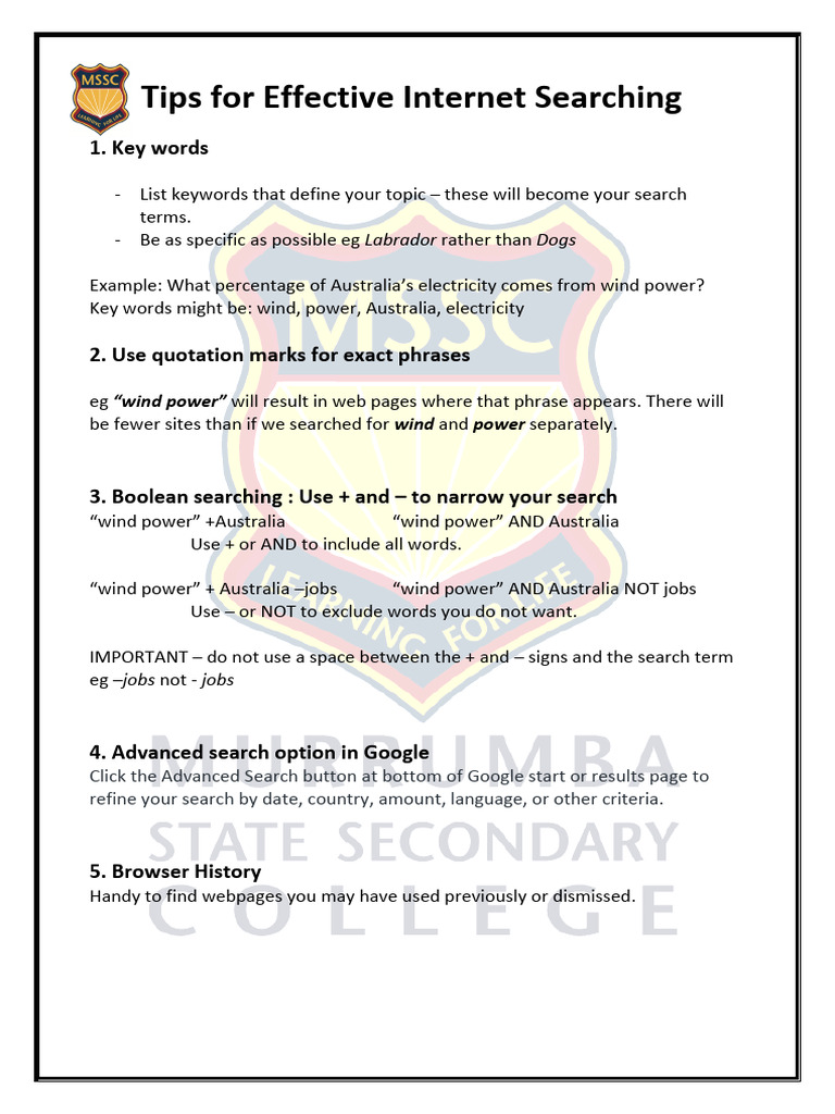 Effective Internet Searching | PDF