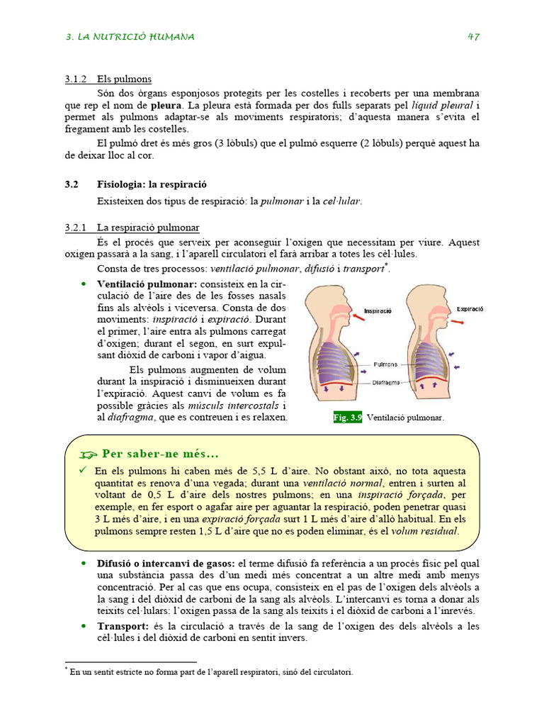 Dossier CCNN 3r ESPA 047 | PDF