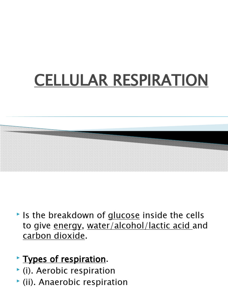Understanding Cellular Respiration Types | PDF | Cellular Respiration ...