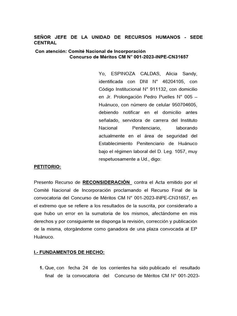 Recurso de Reconsideración | PDF | Gobierno